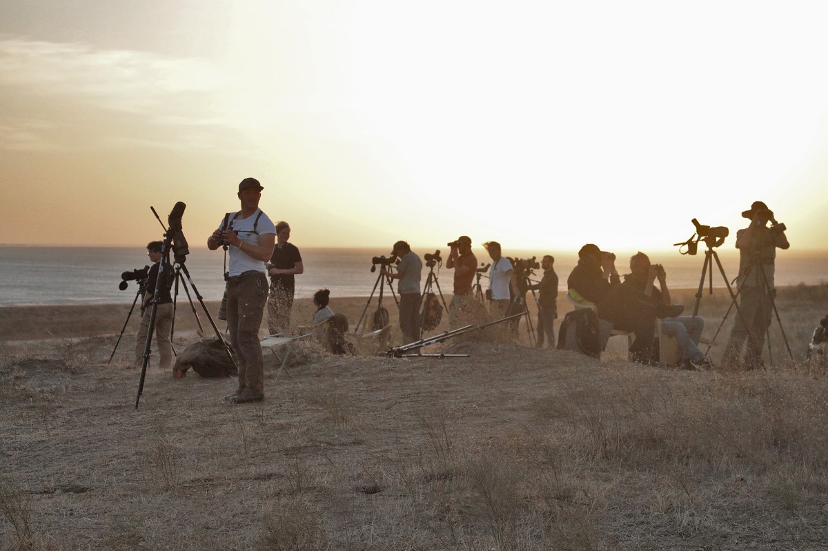 Late October / early November impressions by Michael Hoit – Birding ...